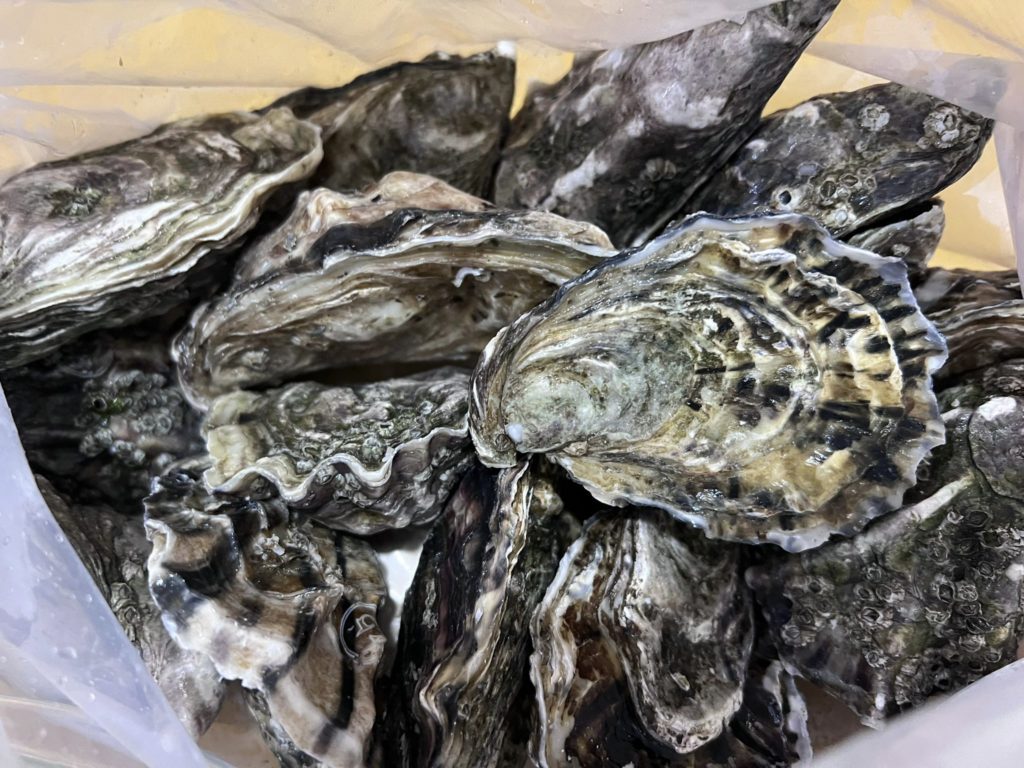 Gillardeau Oysters No.3 – 12 pcs - Lou Lou Food Market