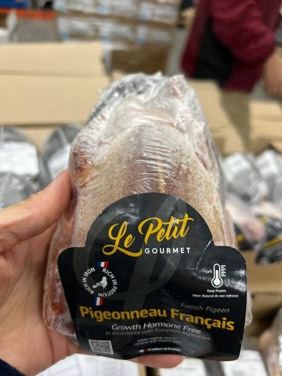 Frozen Pigeon Oven Ready ~ 350 – 400g - Lou Lou Food Market